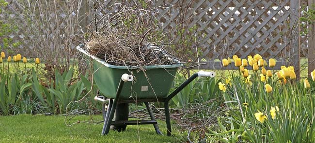 Garden Clean Up Services Central Coast - TYR Waste Solutions